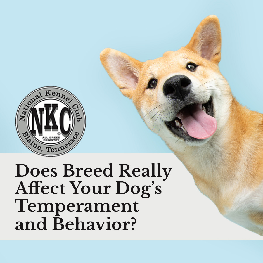 Does Breed Really Affect Your Dog’s Temperament and Behavior ...
