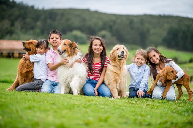 Dog Registration Club | National Kennel Club [Video]