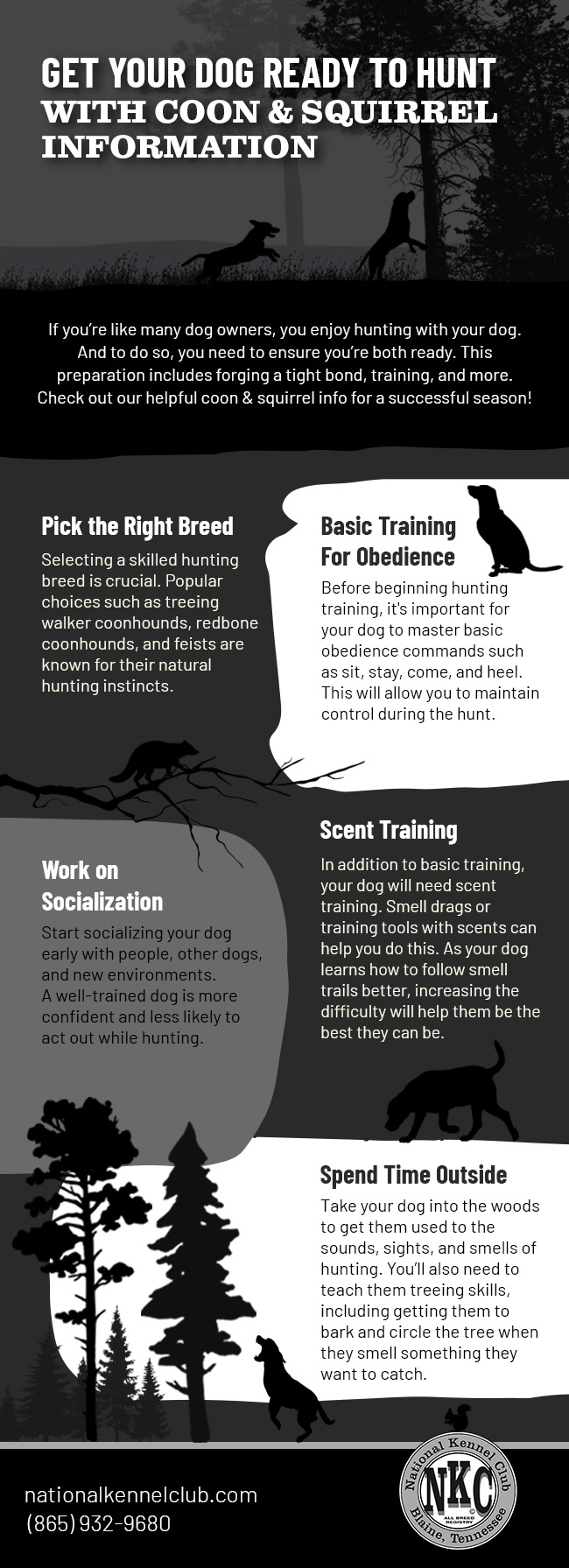 Get Your Dog Ready to Hunt With Coon & Squirrel Information ...