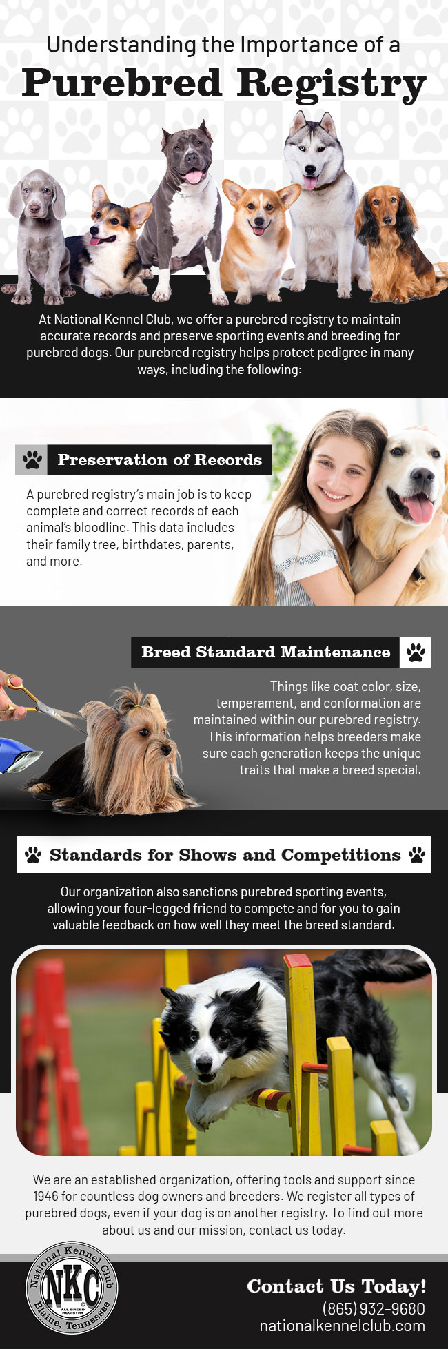 Understanding the Importance of a Purebred Registry [infographic ...