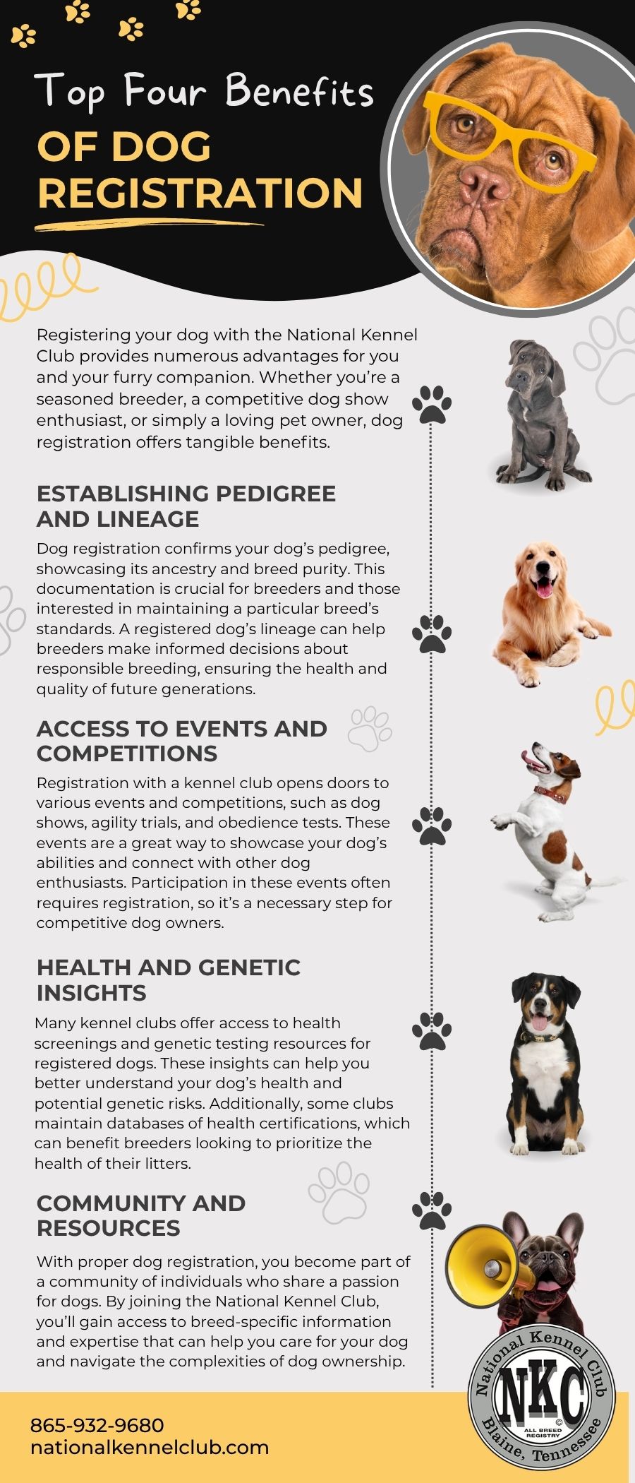 Top Four Benefits of Dog Registration [infographic] | National Kennel Club
