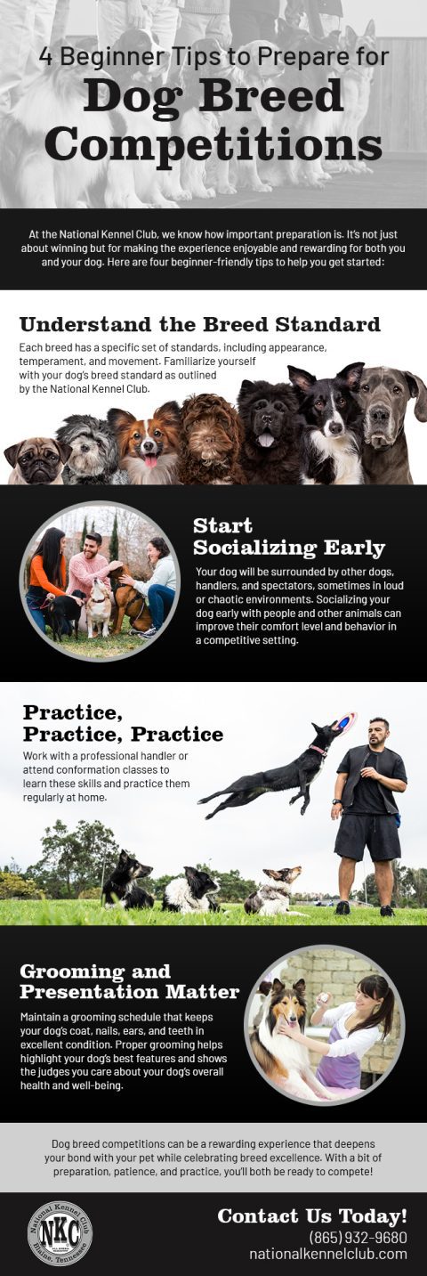 4 Beginner Tips to Prepare for Dog Breed Competitions [infographic ...