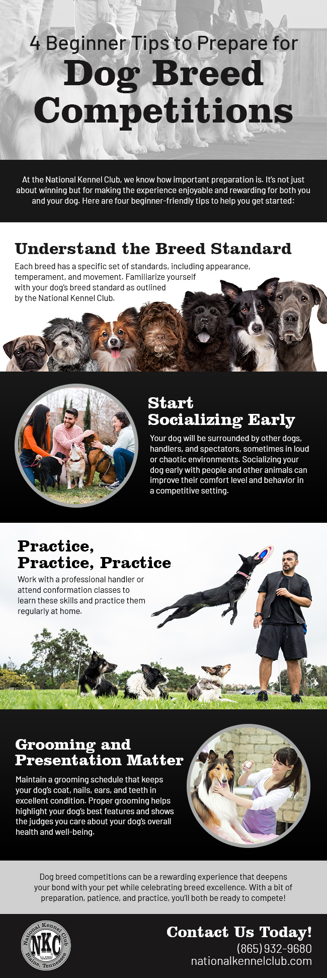 4 Beginner Tips to Prepare for Dog Breed Competitions [infographic ...