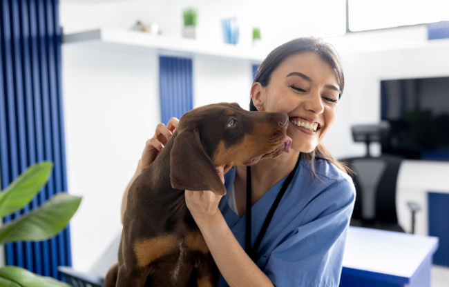Understanding the Value of a Purebred Registry [infographic] | National ...